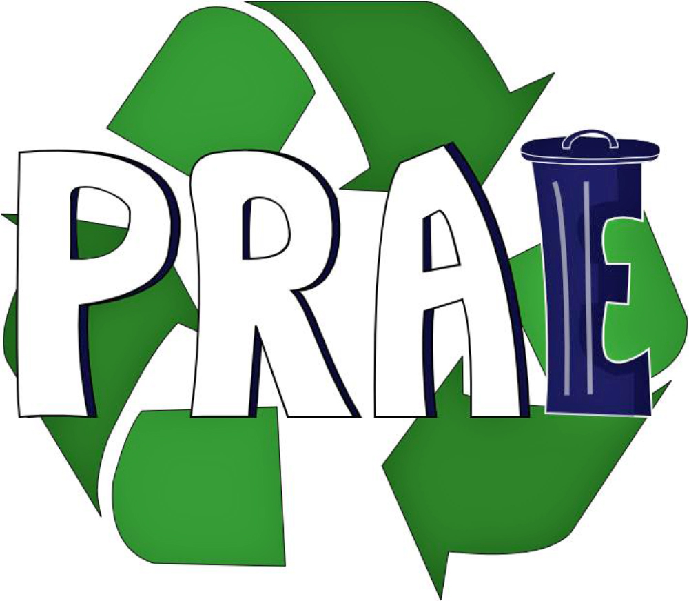 Los Proyectos Ambientales Escolares (PRAE) – Colegio San Francisco Javier